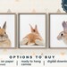 Nursery Bunny Wall Art Bunny Photo Nursery Rabbit Nursery | Etsy