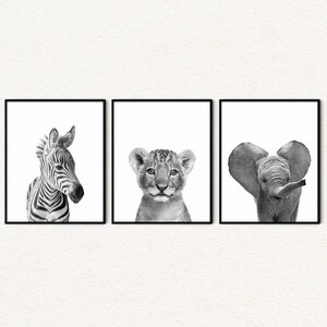 Black and White Safari Animal Prints, Jungle Kids Room Canvas or Paper ...