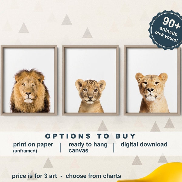 Baby Lion Frame - Etsy