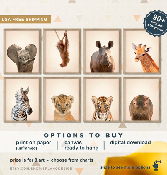 Jungle Theme Nursery Zoo Animal Prints for Nursery Safari | Etsy