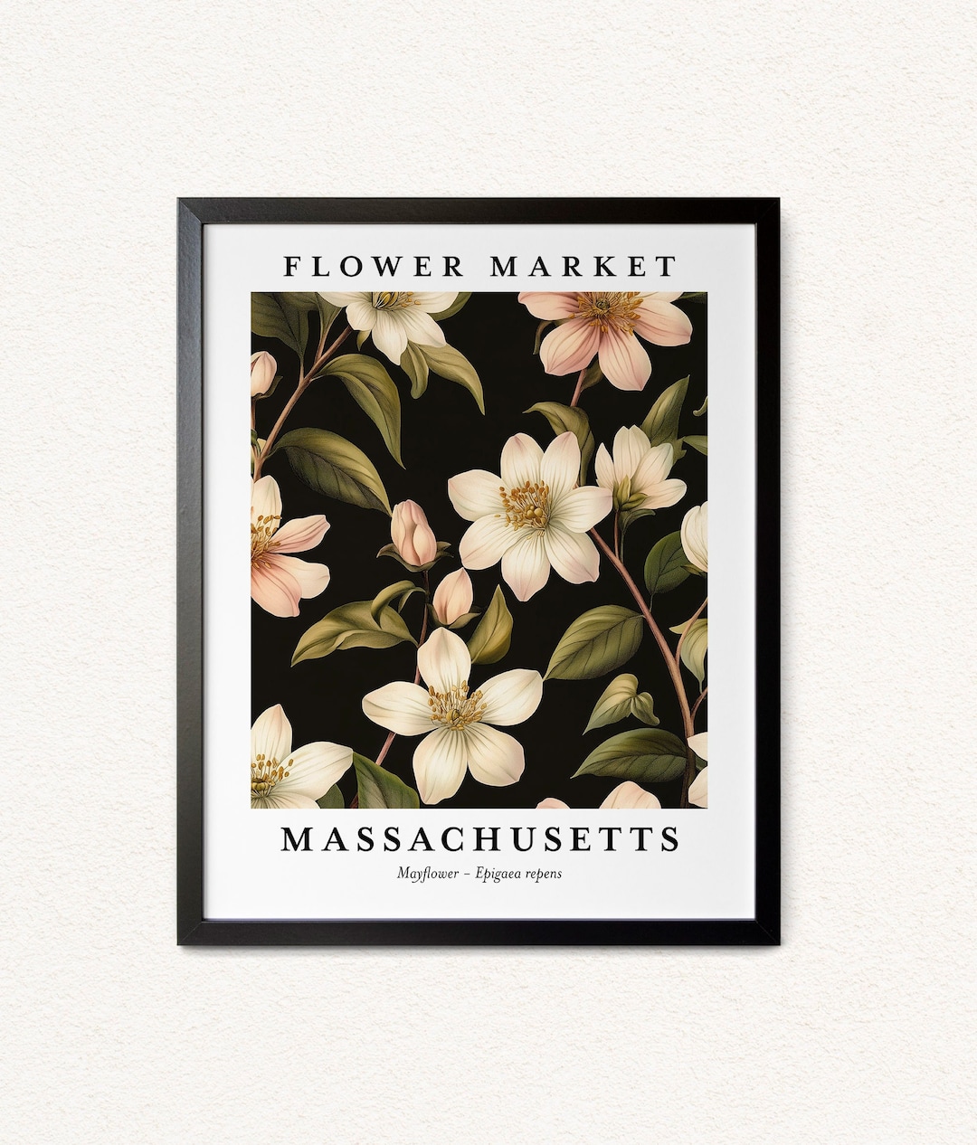 Massachusetts Mayflower Art Print: Modern Floral Wall Decor - Etsy