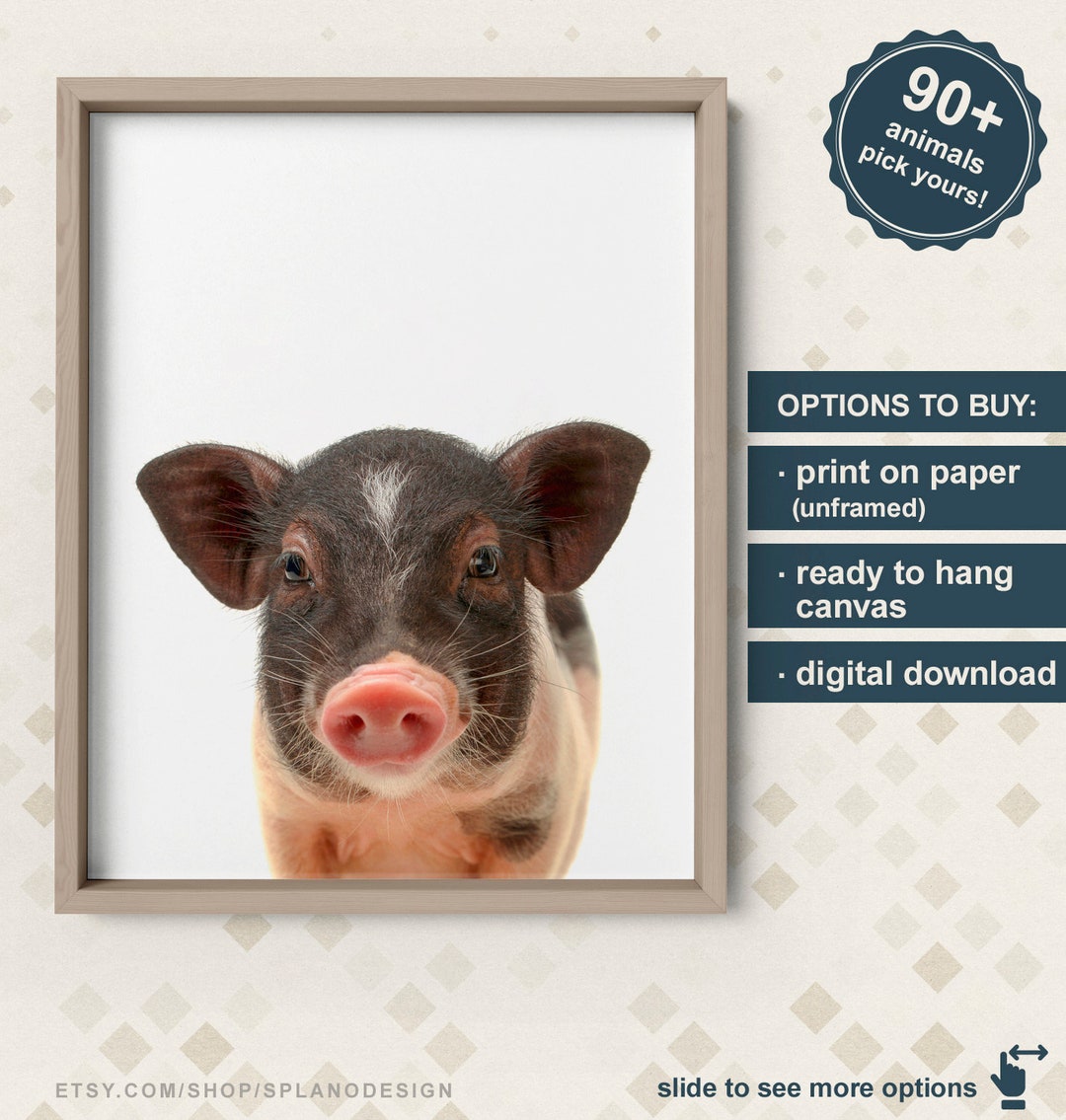 Pig Nursery Print, Pig Photography, Pig on Canvas, Barnyard Nursery ...