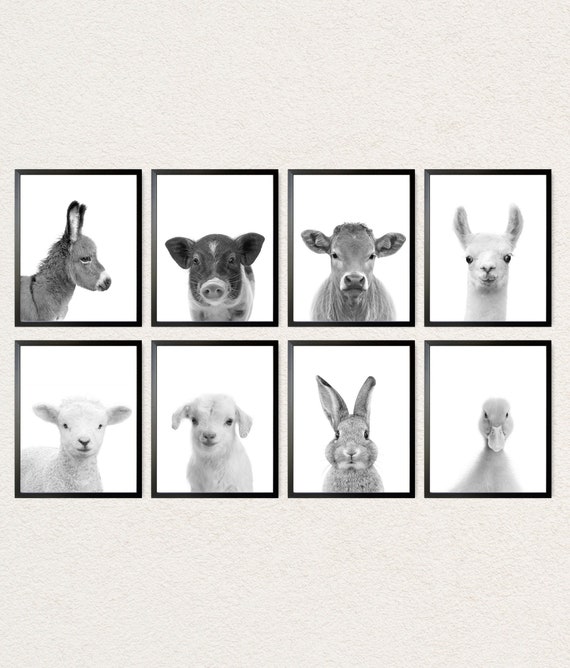 Farm Animal Nursery Prints Black and White Animal Wall Art | Etsy