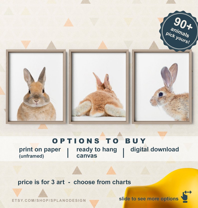 Nursery Bunny Wall Art Bunny Photo Nursery Rabbit Nursery | Etsy