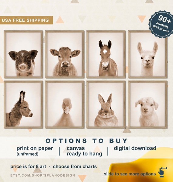 Baby Farm Animal Photos Farm Animals for Baby Room Farm | Etsy