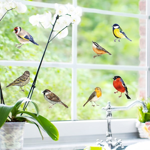 Bird Window Sticker - Etsy UK