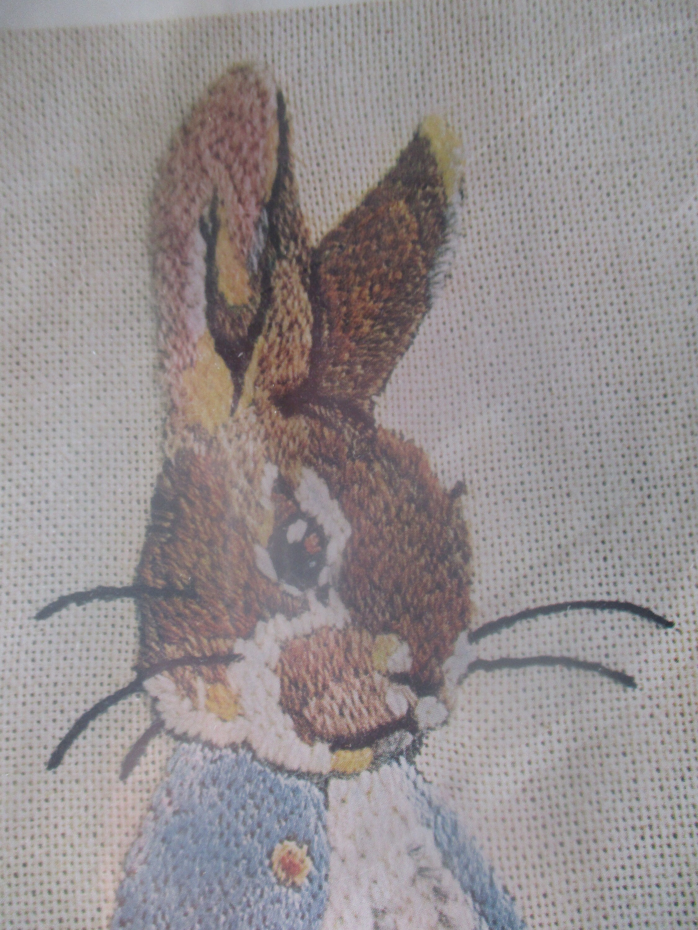 Peter Rabbit, Crewel Embroidery Kit, Beatrix Potter Crewel Embroidery ...