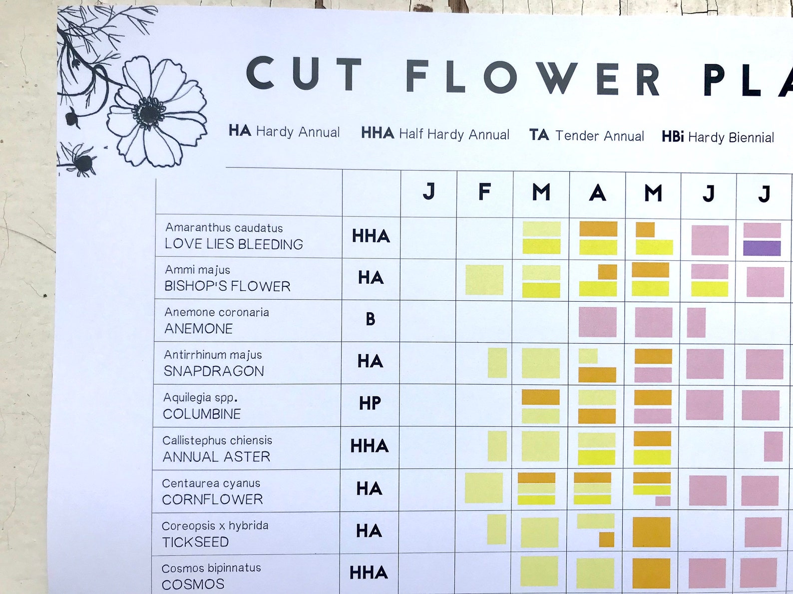 A3 Cut Flower Growing Planner // Allotment and Garden Calendar - Etsy