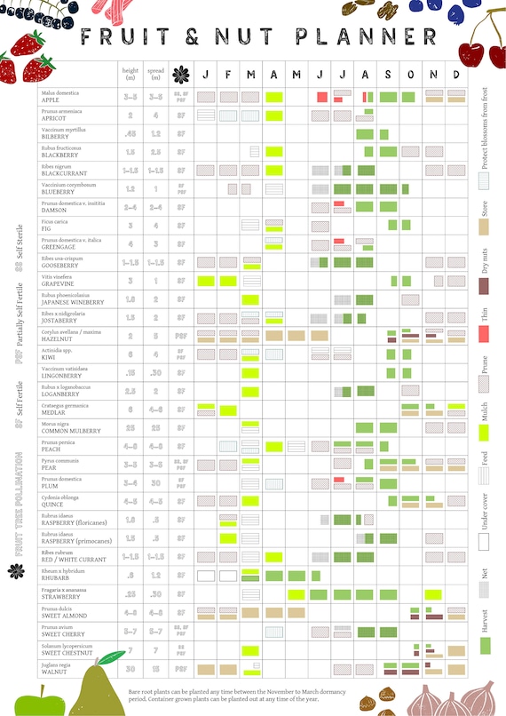 Fruit Planting Calendar Planting Calendar – Customcreation