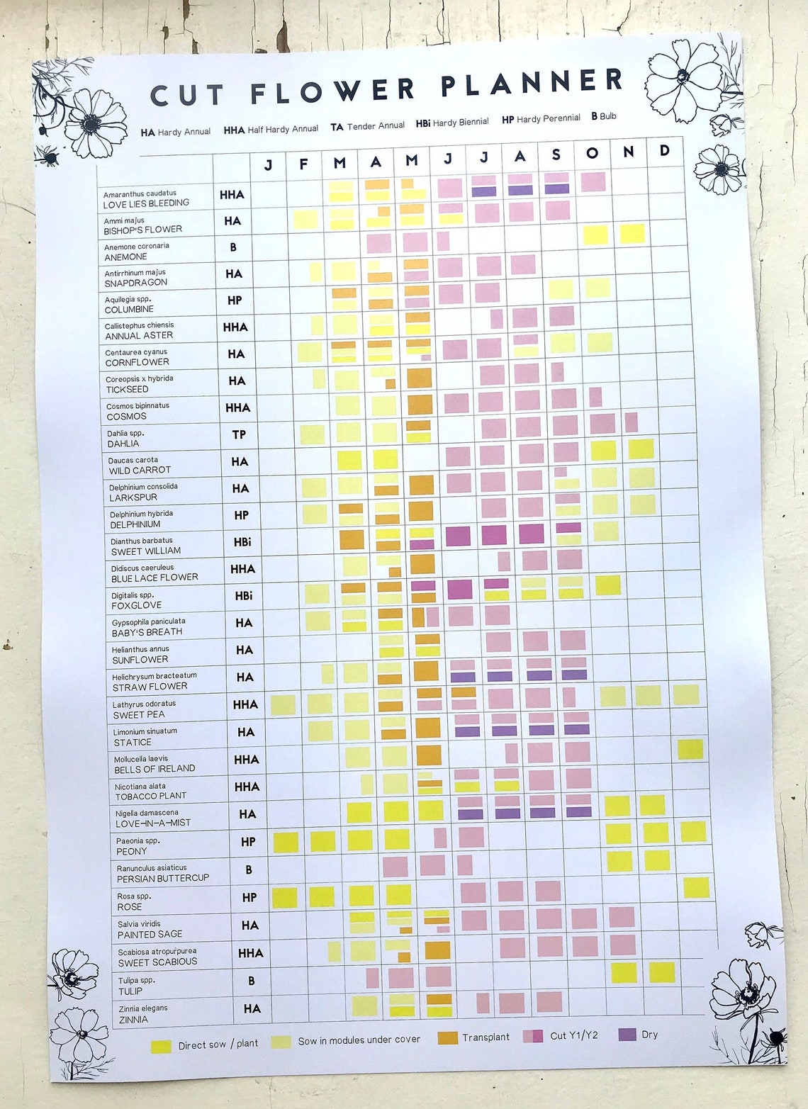 A3 Cut Flower Growing Planner // Allotment and Garden Calendar - Etsy