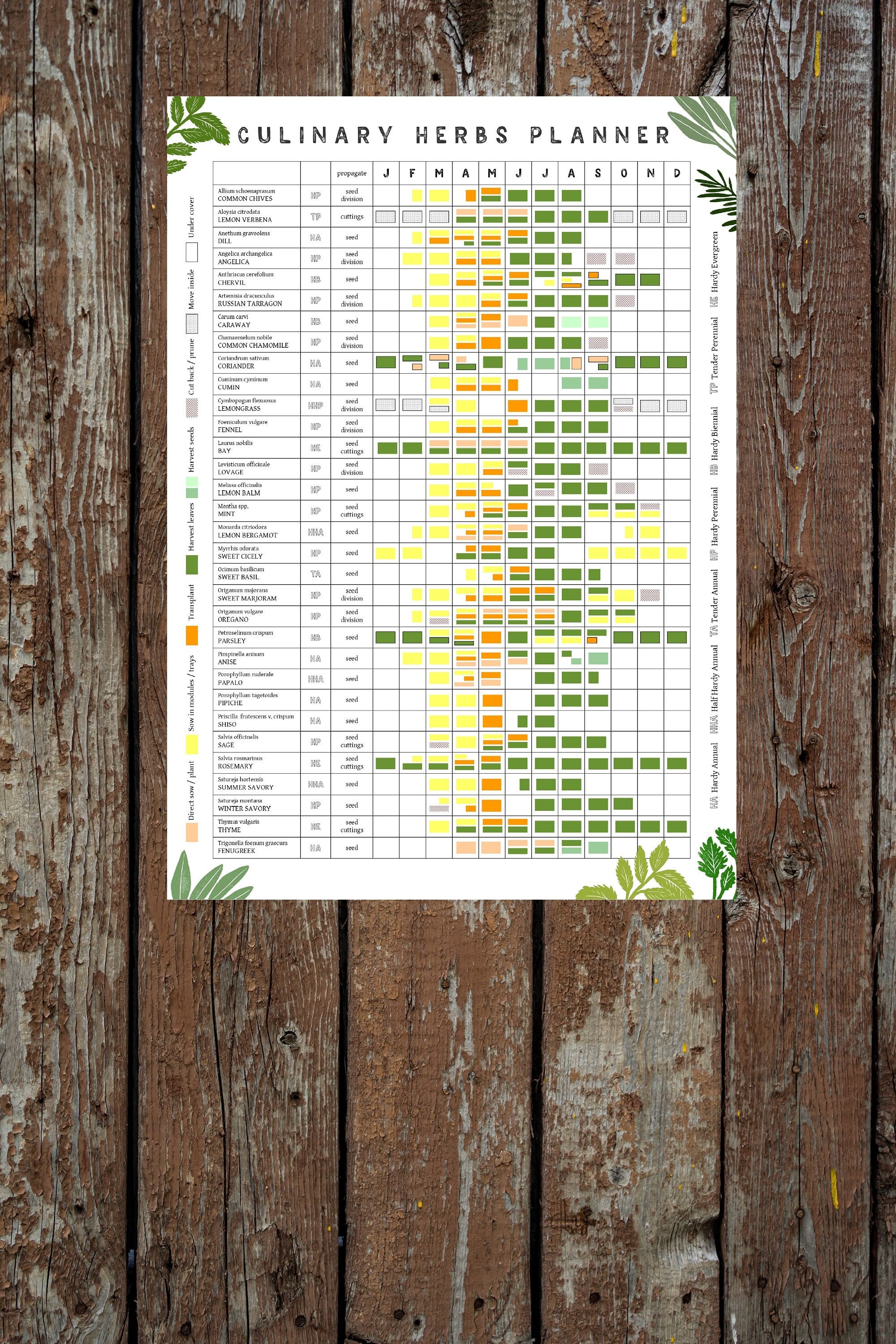 Herb Planting Times