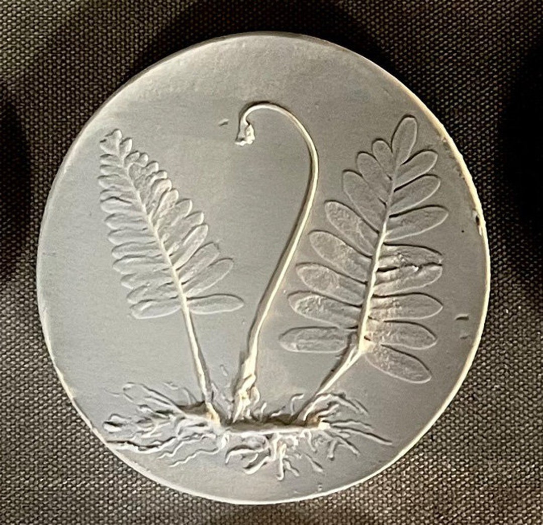 Tree Fern 2 Round 14mm Botanical Bas Relief - Etsy