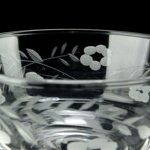 Set of 6 Rock Sharpe/libbey Sherbet Glasses, Etched Floral Pattern, 3 1/2 - Etsy