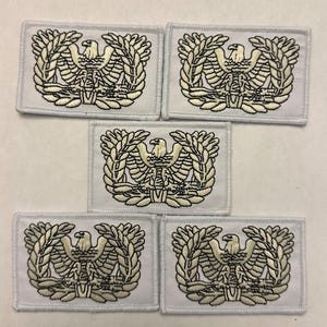 Warrant Officer Eagle Rising Glow in the Dark “glowbirds” Esprit De ...