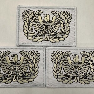 Warrant Officer Eagle Rising Glow in the Dark “glowbirds” Esprit De ...