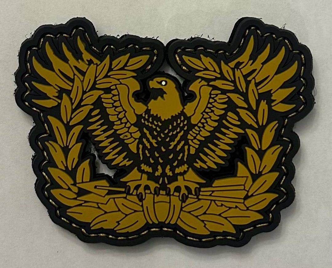 Warrant Officer Eagle Rising 2.0 Esprit De Corp Morale Tactical Patch - Etsy