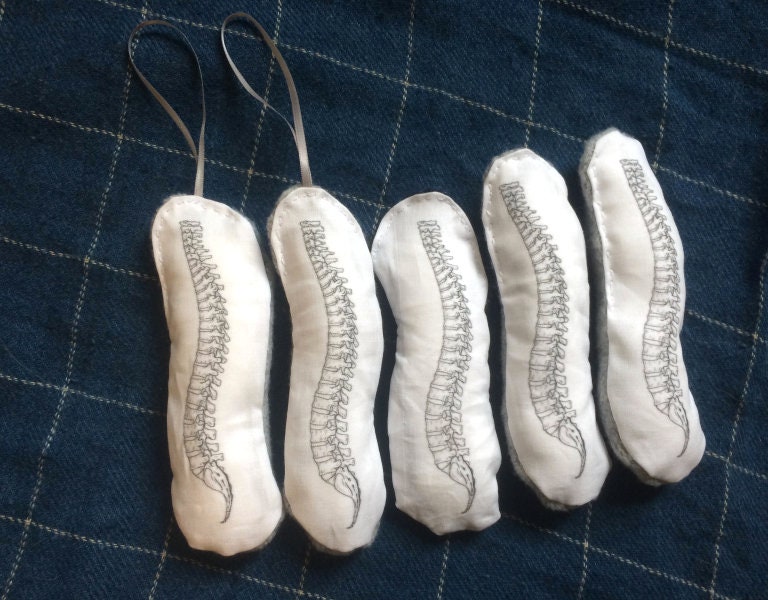Mini Anatomical Spine Plushies Handmade Ornaments Medical Student ...