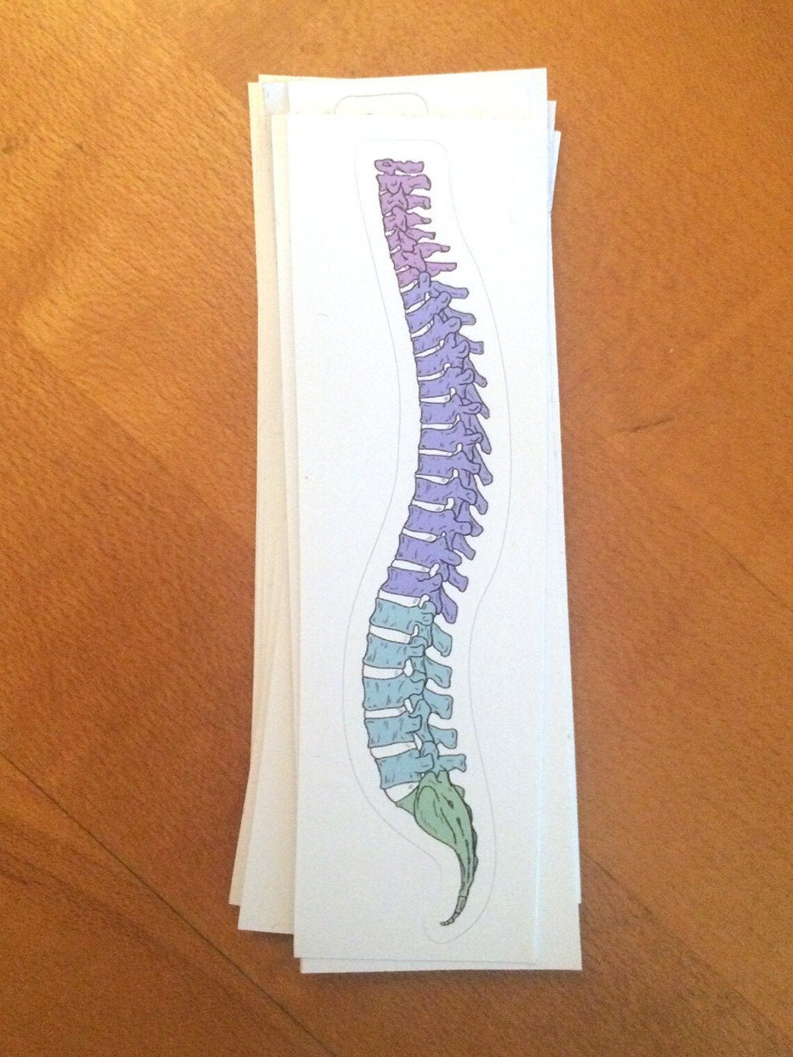 Spine Stickers (rainbow) - Etsy