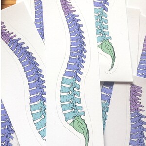 Spine Stickers (rainbow) - Etsy