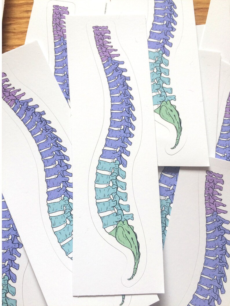 Spine Stickers (rainbow) - Etsy