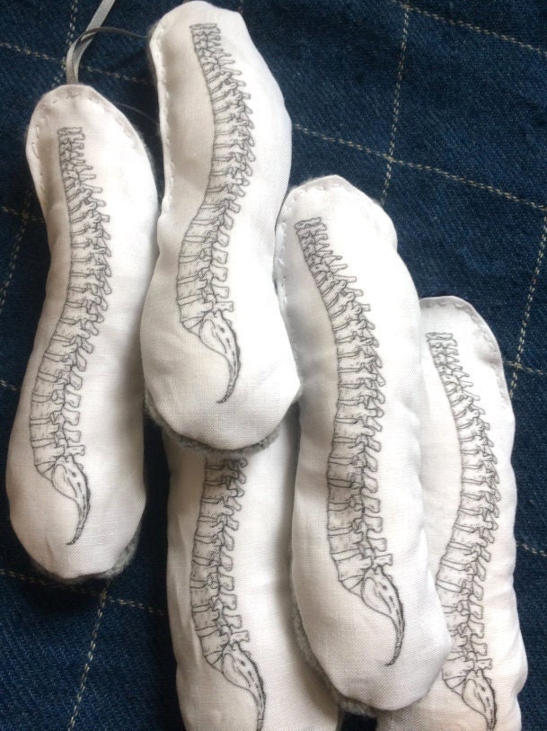 Mini Anatomical Spine Plushies | Handmade Ornaments | Medical Student ...