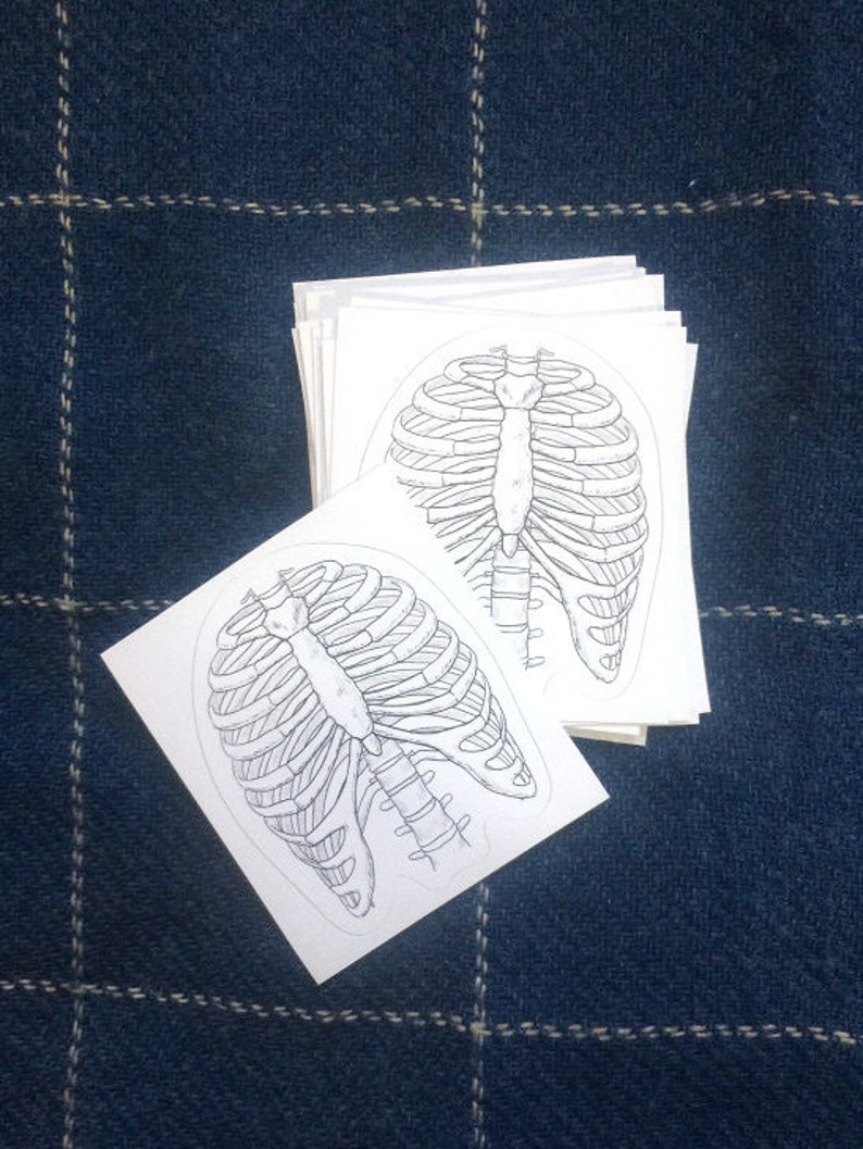 Rib Cage Stickers (black and White) - Etsy