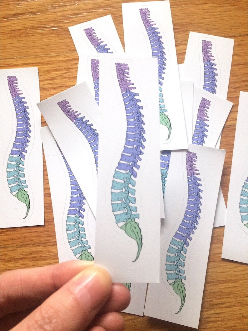Spine Stickers rainbow - Etsy