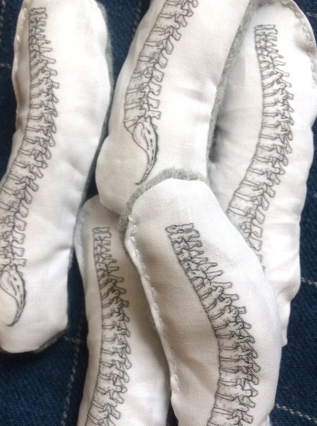 Mini Anatomical Spine Plushies | Handmade Ornaments | Medical Student ...