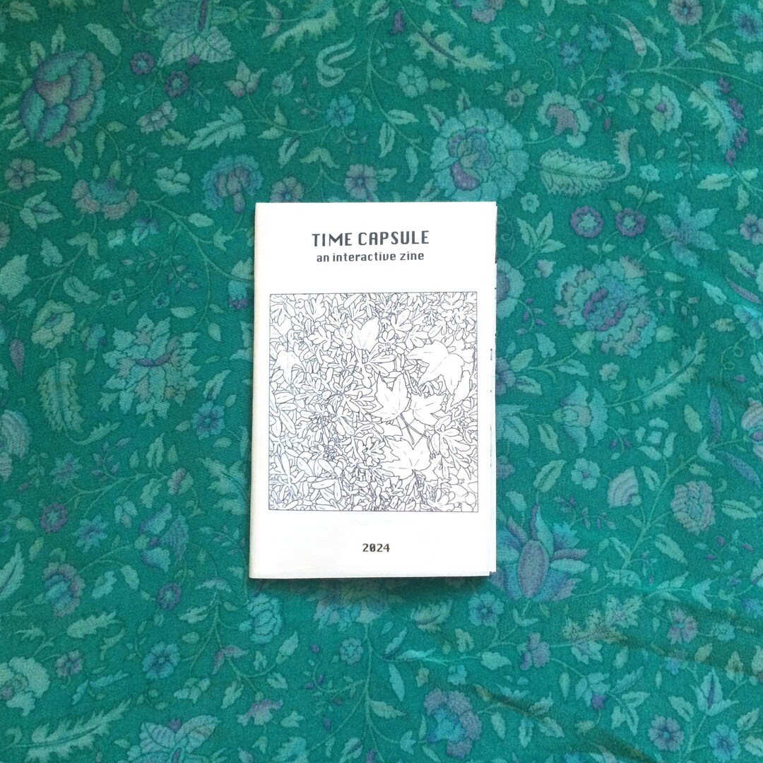 Time Capsule: 2024 Zine Handmade Zine Canadian Zine Illustrated Zine - Etsy