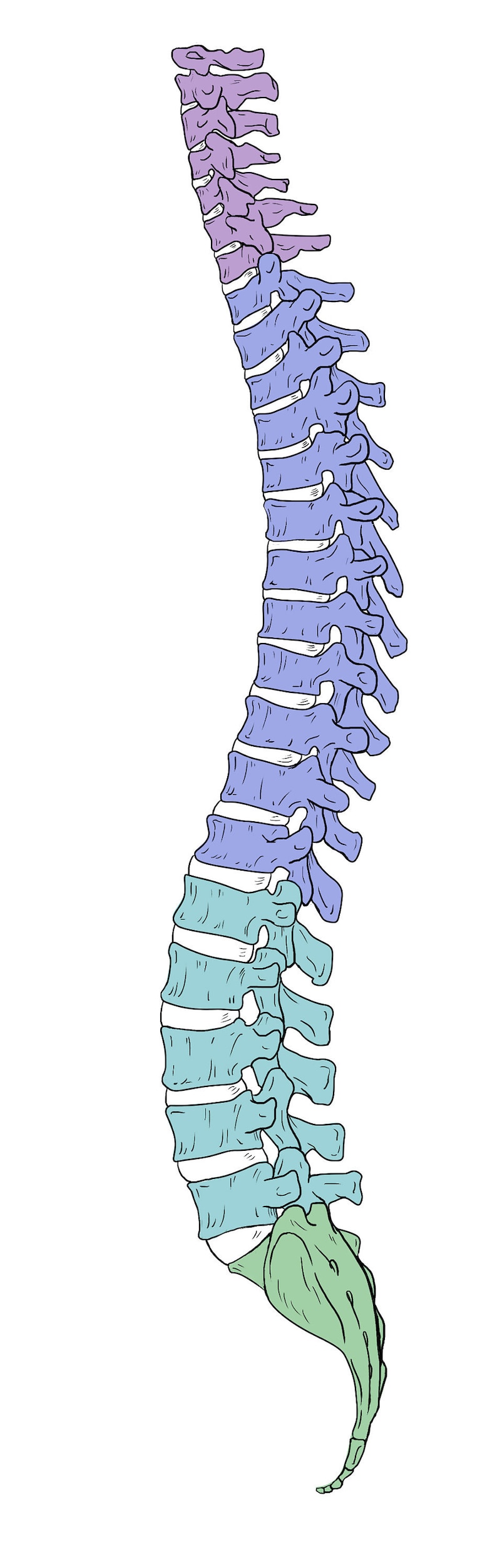 Spine Stickers (rainbow) - Etsy