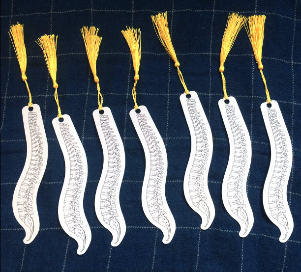 Book Spines Anatomical Spine Bookmarks Medical Student, Resident, Nurse ...