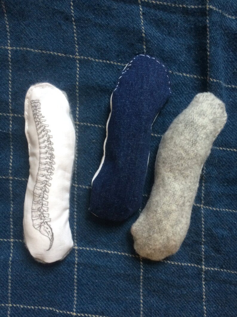 Mini Anatomical Spine Plushies | Handmade Ornaments | Medical Student ...