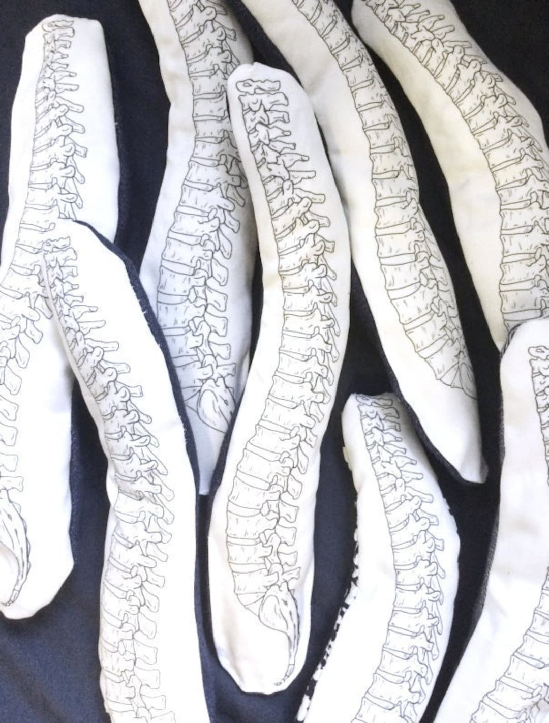 Anatomical Spine Plushies | Medical Student, Resident, Nurse ...