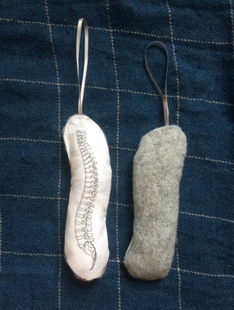 Mini Anatomical Spine Plushies | Handmade Ornaments | Medical Student ...