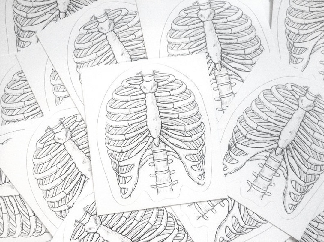 Rib Cage Stickers (black and White) - Etsy