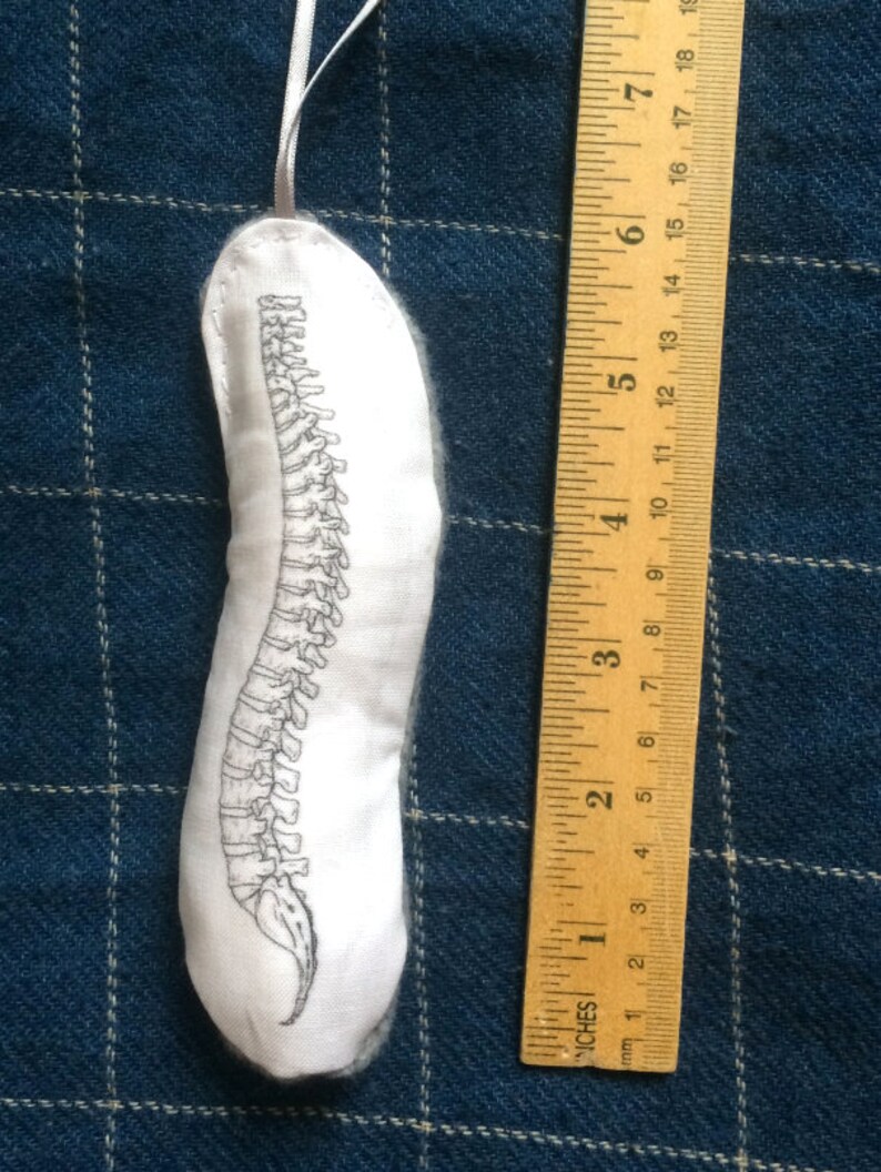 Mini Anatomical Spine Plushies | Handmade Ornaments | Medical Student ...