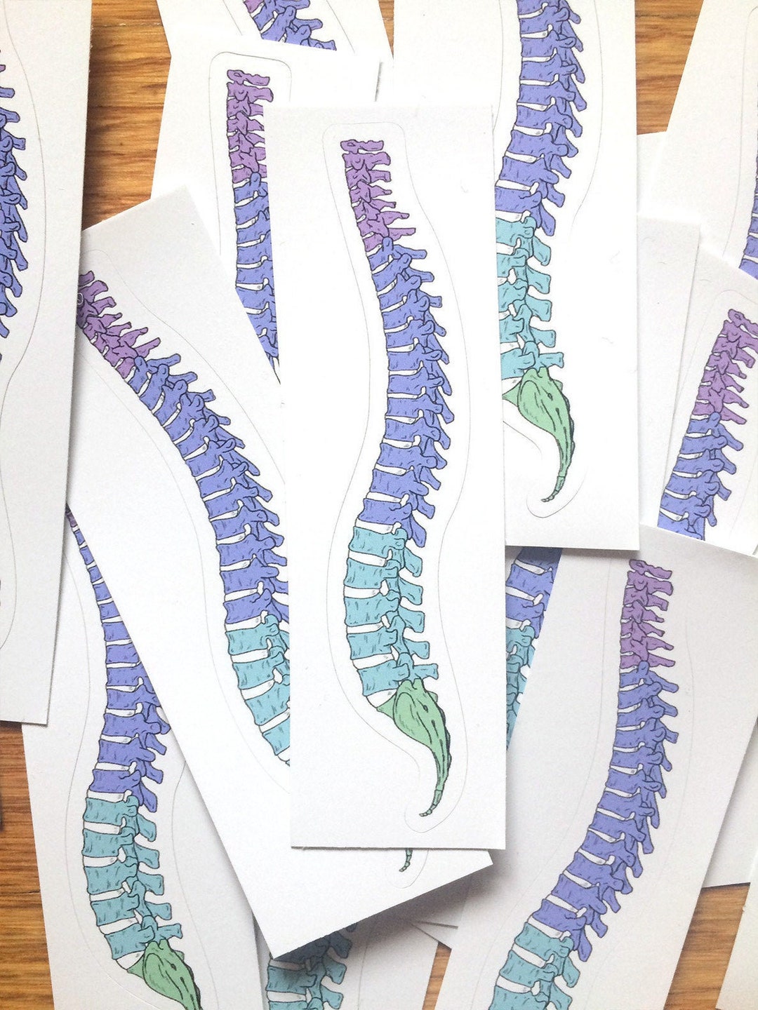 Spine Stickers (rainbow) - Etsy