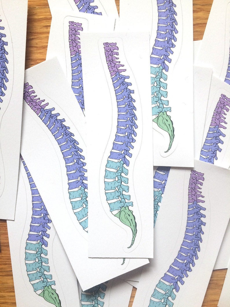 Spine Stickers (rainbow) - Etsy