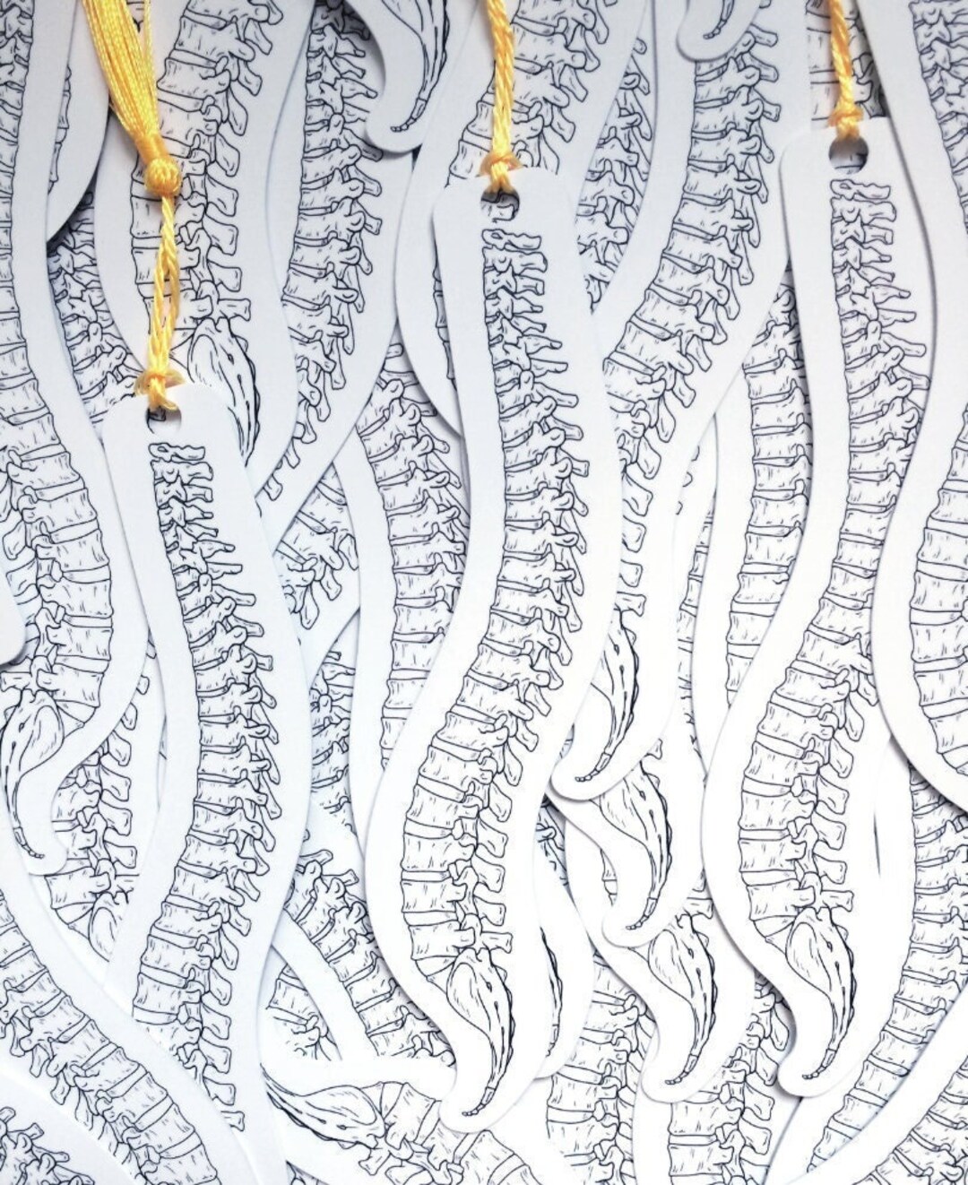 Book Spines | Anatomical Spine Bookmarks | Medical Student, Resident ...