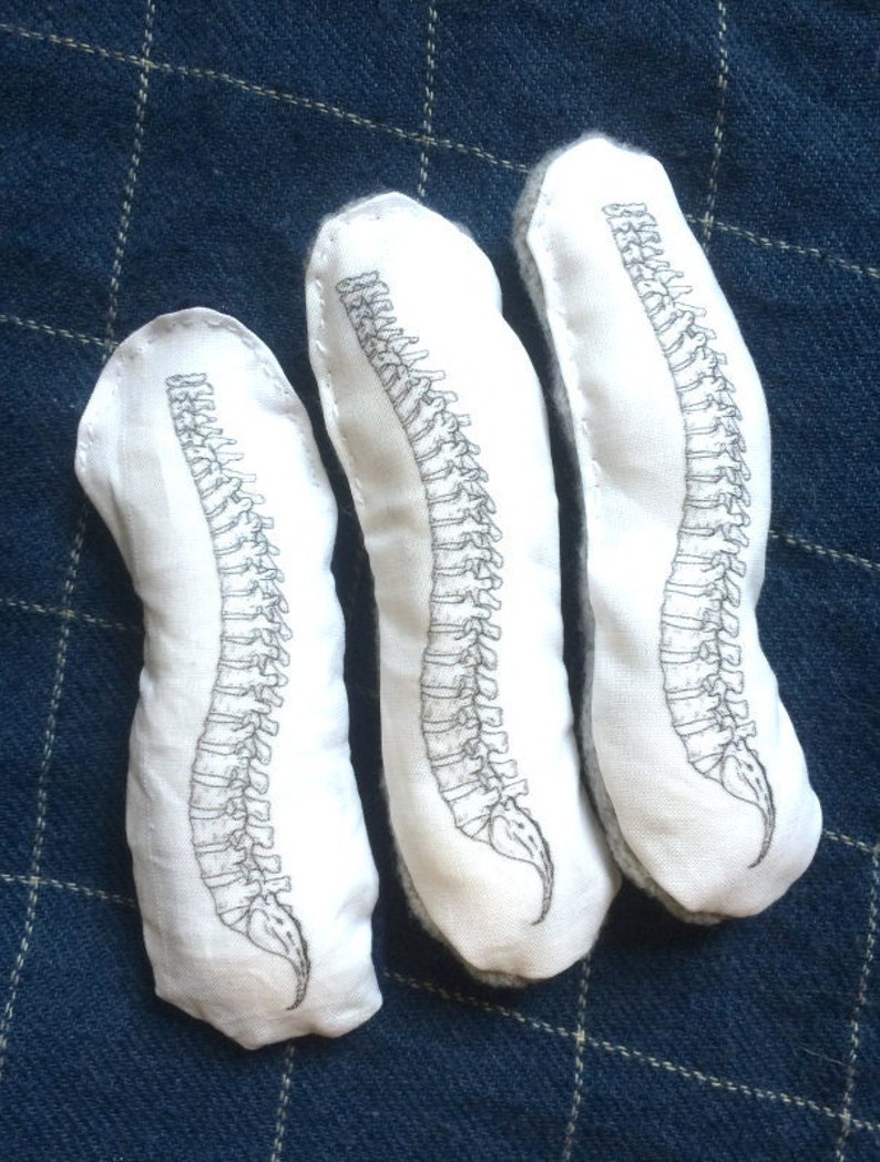 Mini Anatomical Spine Plushies | Handmade Ornaments | Medical Student ...