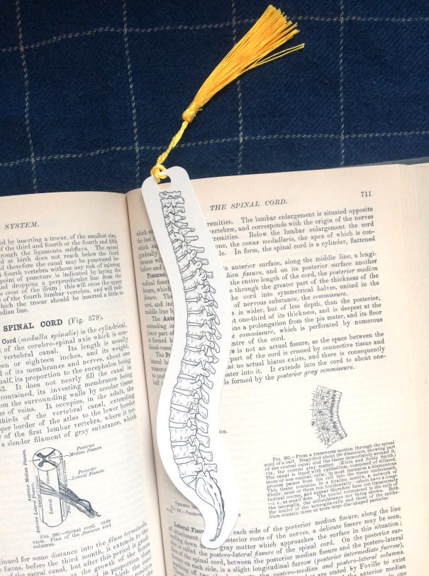 Book Spines Anatomical Spine Bookmarks Medical Student, Resident, Nurse ...