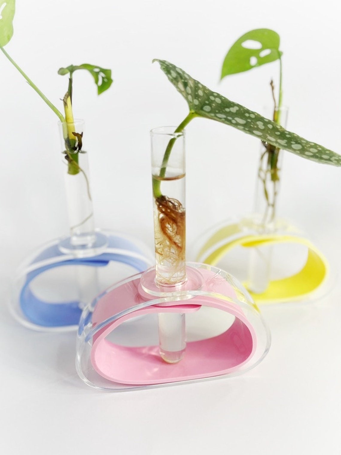 Hand Shaped Free Form Acrylic Bud Vase Propagation Station "nesting ...