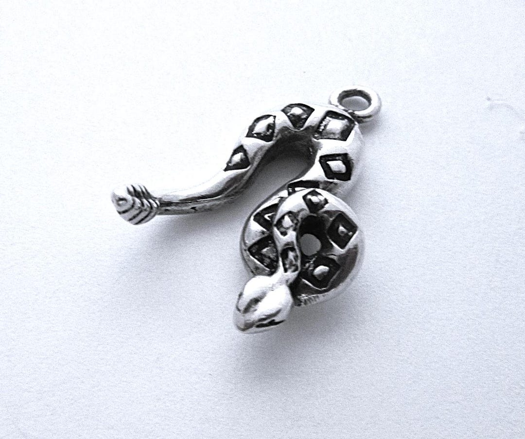 Snake Charm/pendant in Sterling Silver-southwest Sterling Silver ...
