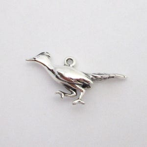 Roadrunner Bird Charm Sterling Silver Jewelry roadrunner Pendant ...