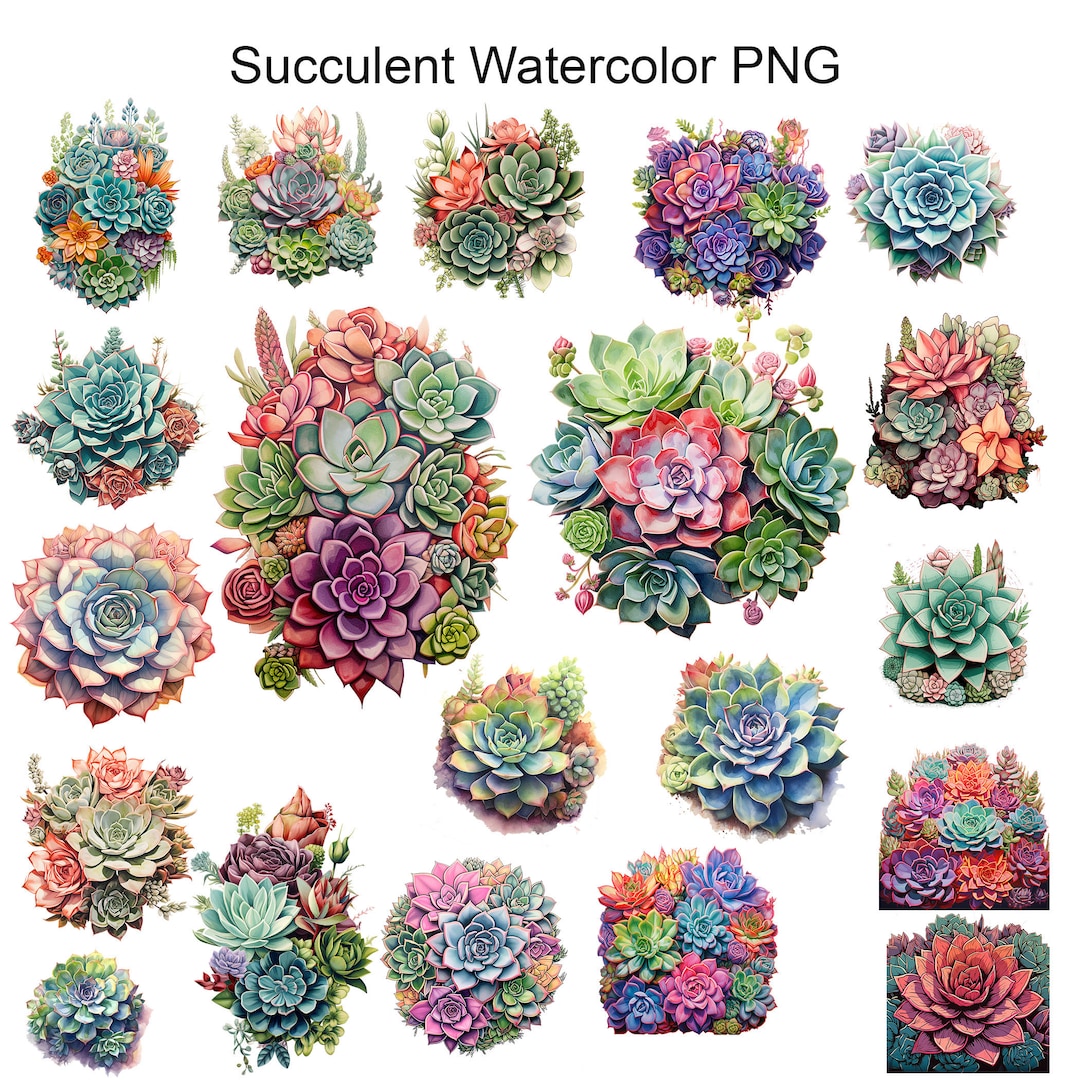 Succulents Clipart/ Watercolor Succulents/ Pastel Colors/ PNG Format ...