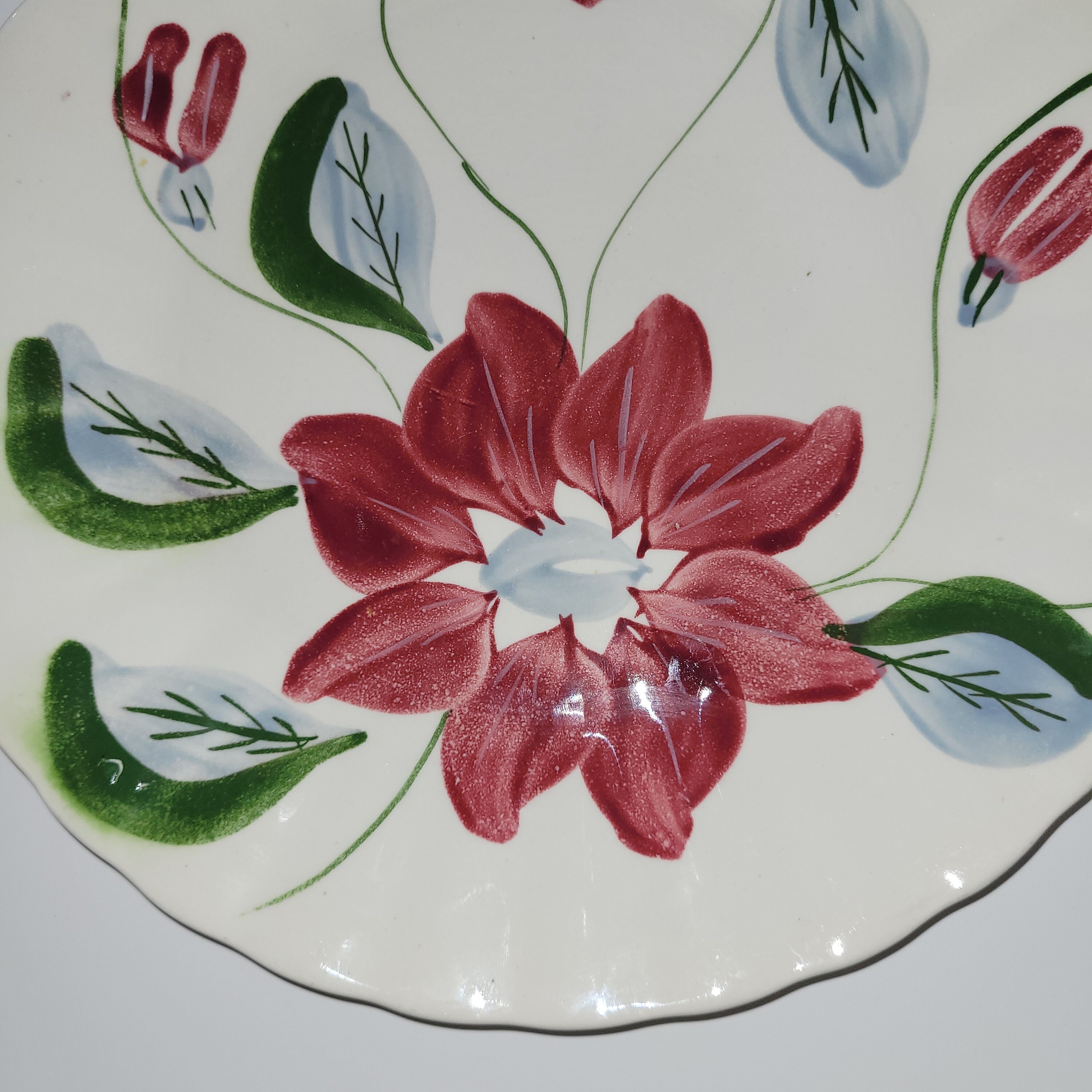 Blue Ridge Pottery Poinsettia With Colonial Edge Dinner Plate - Etsy