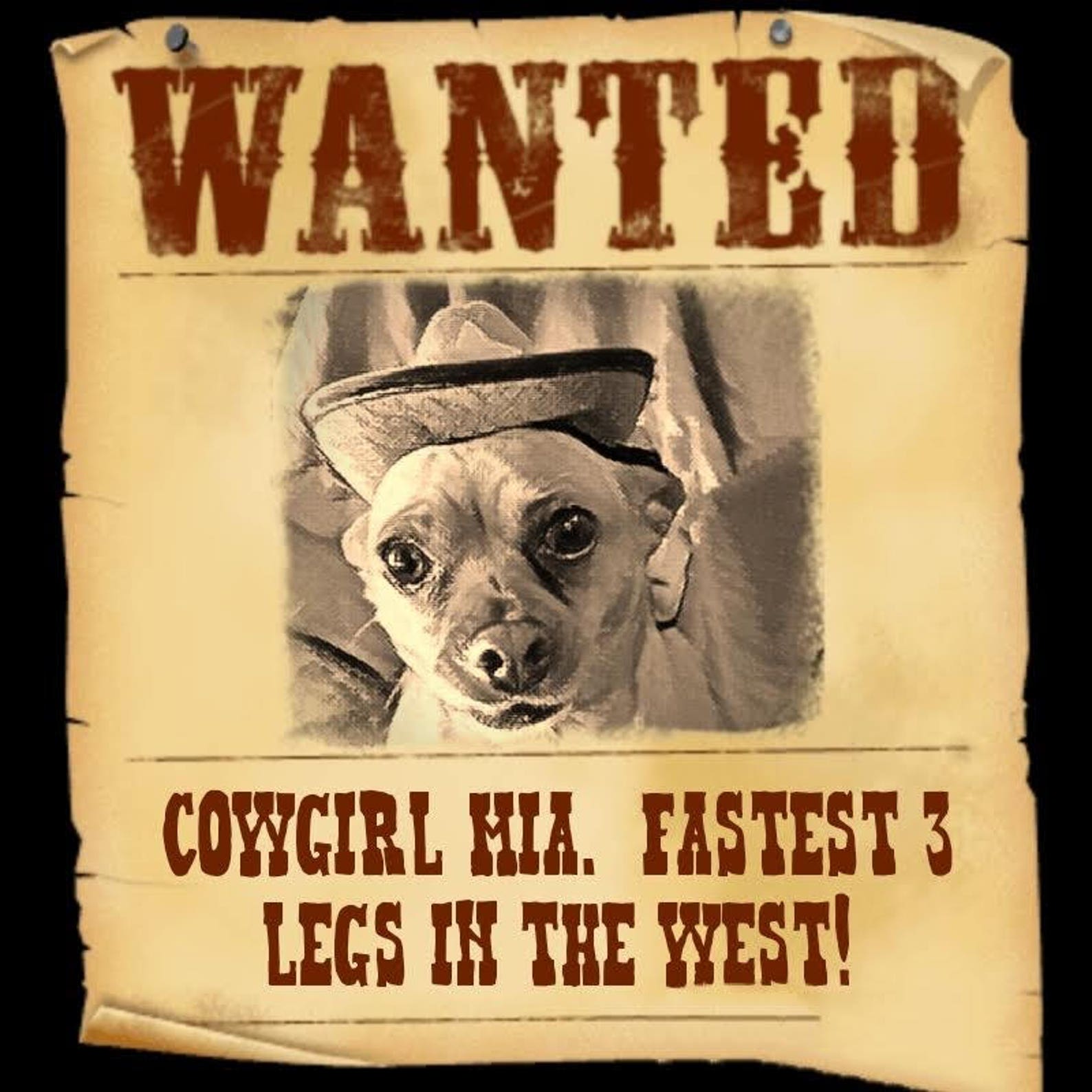 PET PORTRAITS (11 X 14) Personalized "wanted" Posters on Canvas! - Etsy