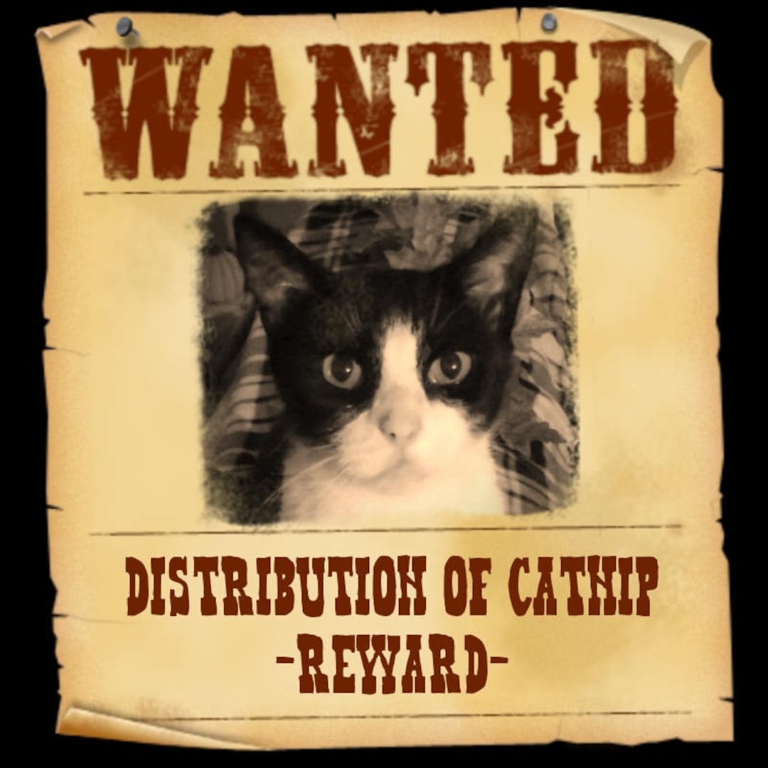 PET PORTRAITS (11 X 14) Personalized "wanted" Posters on Canvas! - Etsy