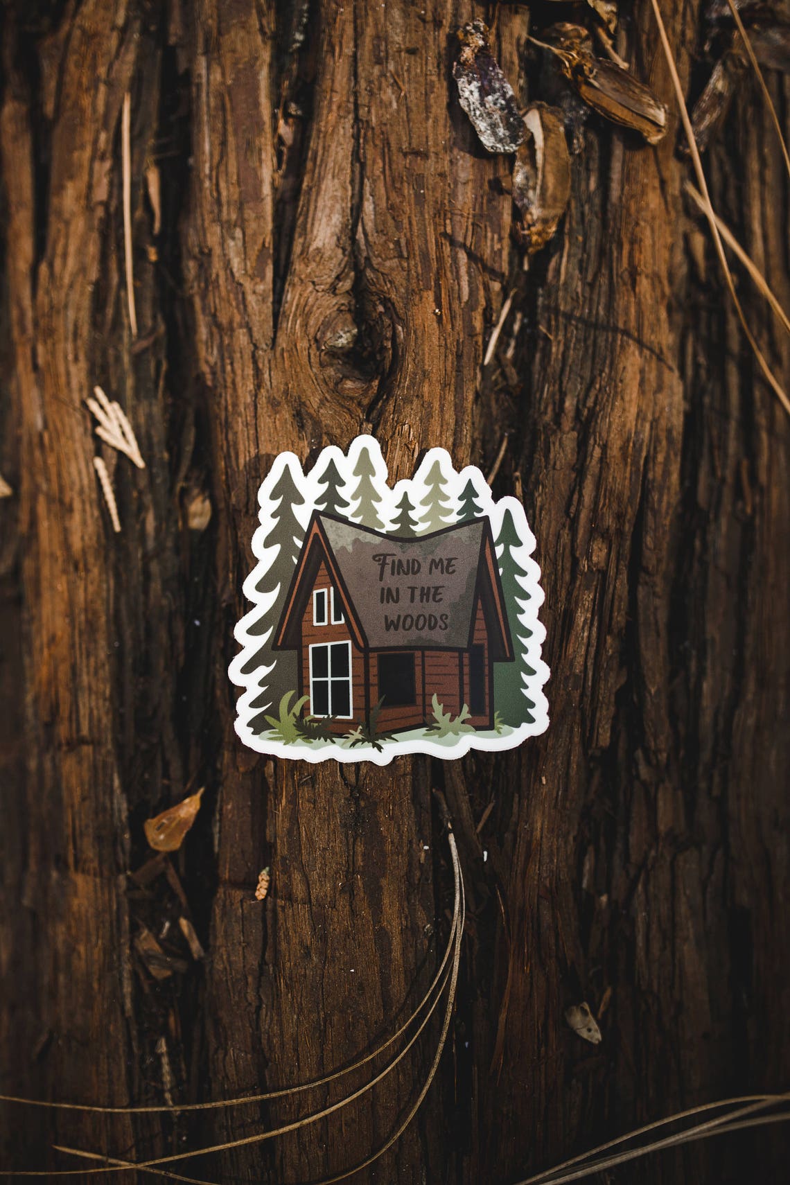 Cabin Sticker | Find Me in the Woods Camping Sticker, Water Bottle ...