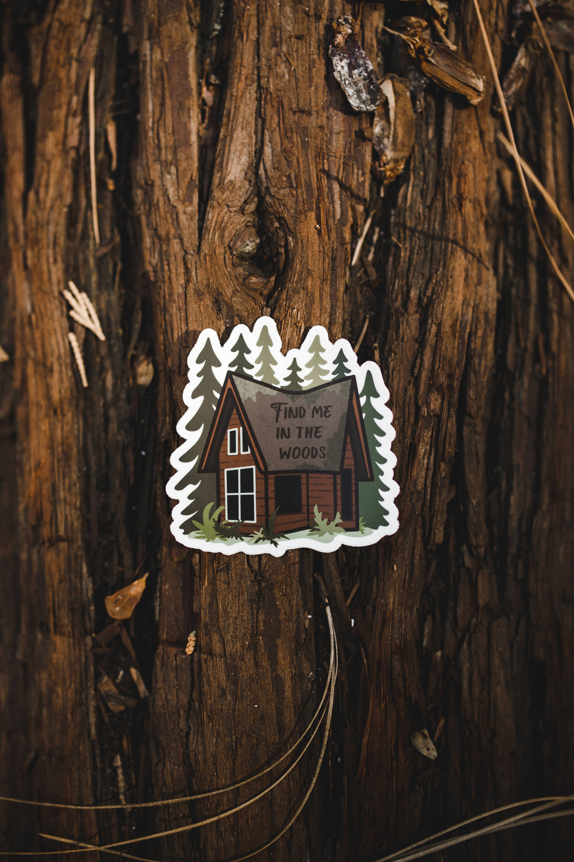 Cabin Sticker | Find Me in the Woods Camping Sticker, Water Bottle ...